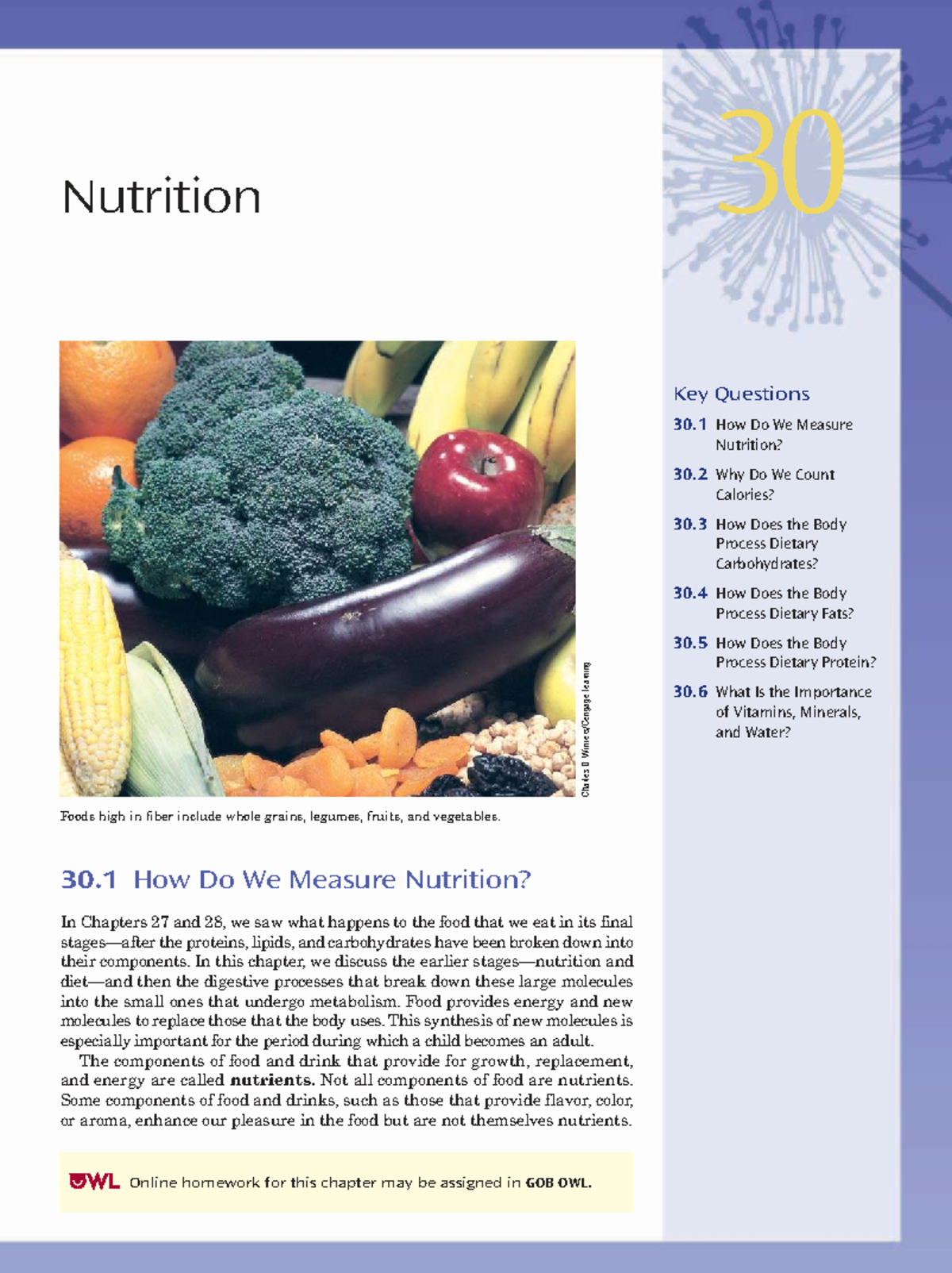 Nutrition 30: Key Questions on Dietary Components and Metabolism - Studocu