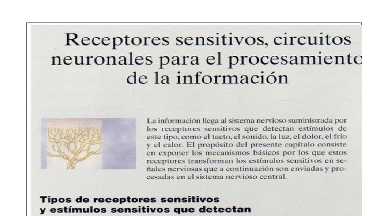 Tema 20-11: Receptores Sensitivos y Circuitos Neuronales en el ...