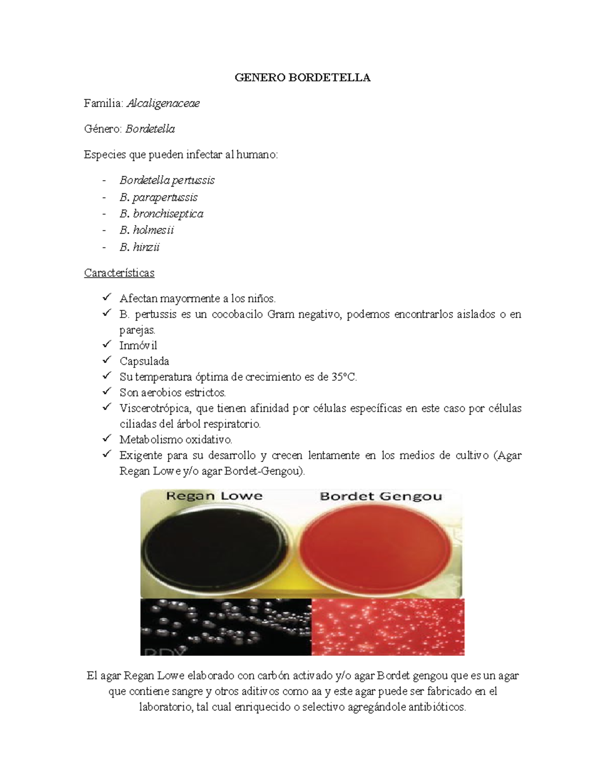 Estudio sobre Bordetella y Brucella: Infecciones y Diagnóstico - Studocu