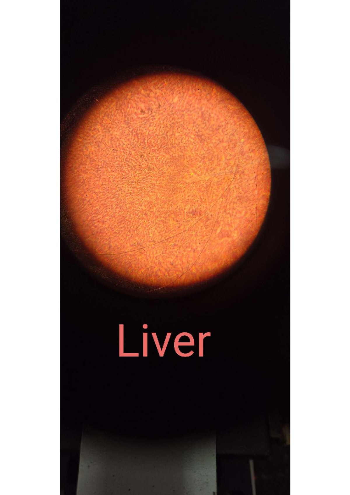 2nd internals slides - Bvbnnvcjj - Cloud computing - Liver Tongue with ...