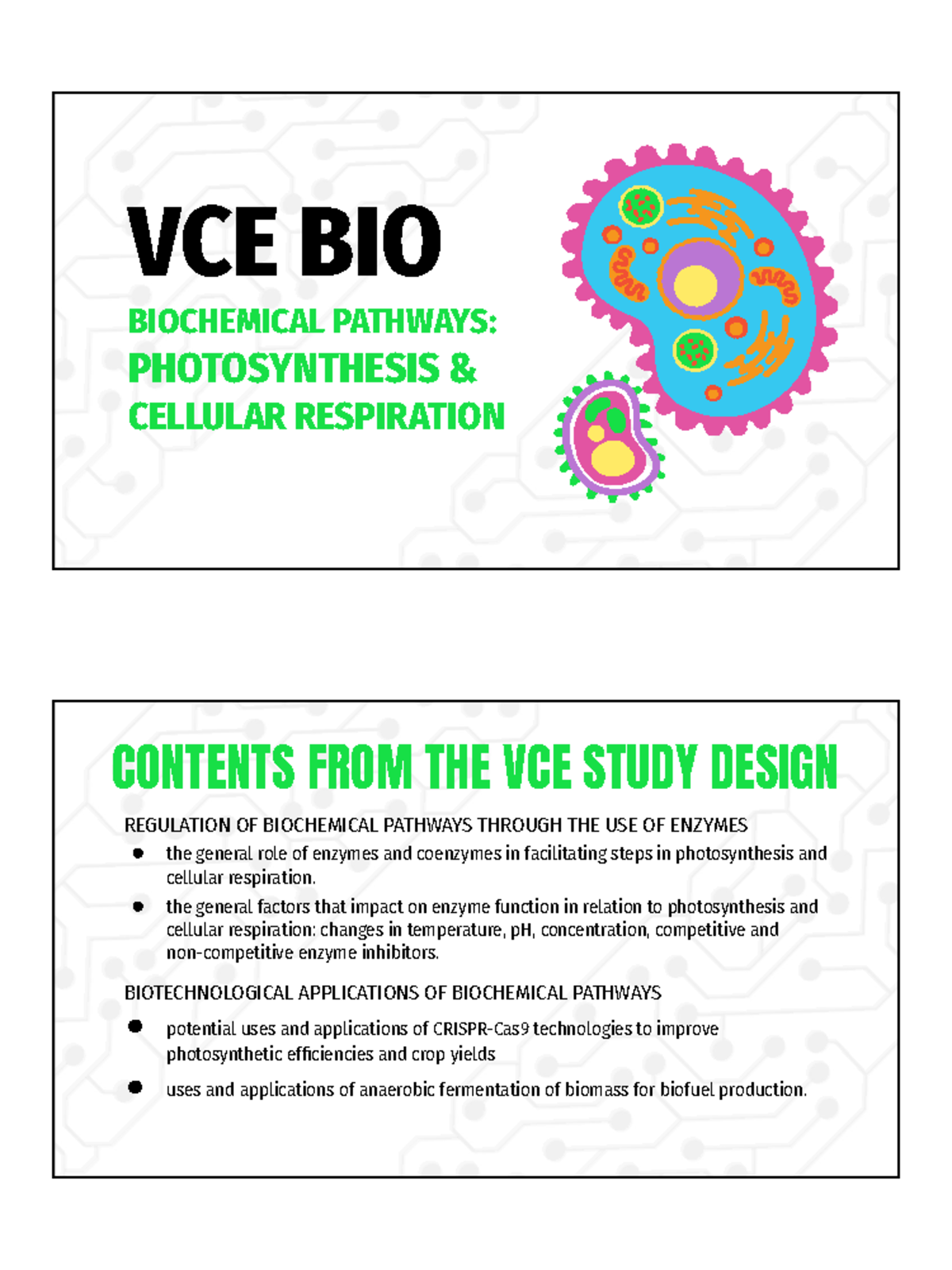 VCE BIO U3 Ao S2 success criteria - VCE BIO BIOCHEMICAL PATHWAYS ...
