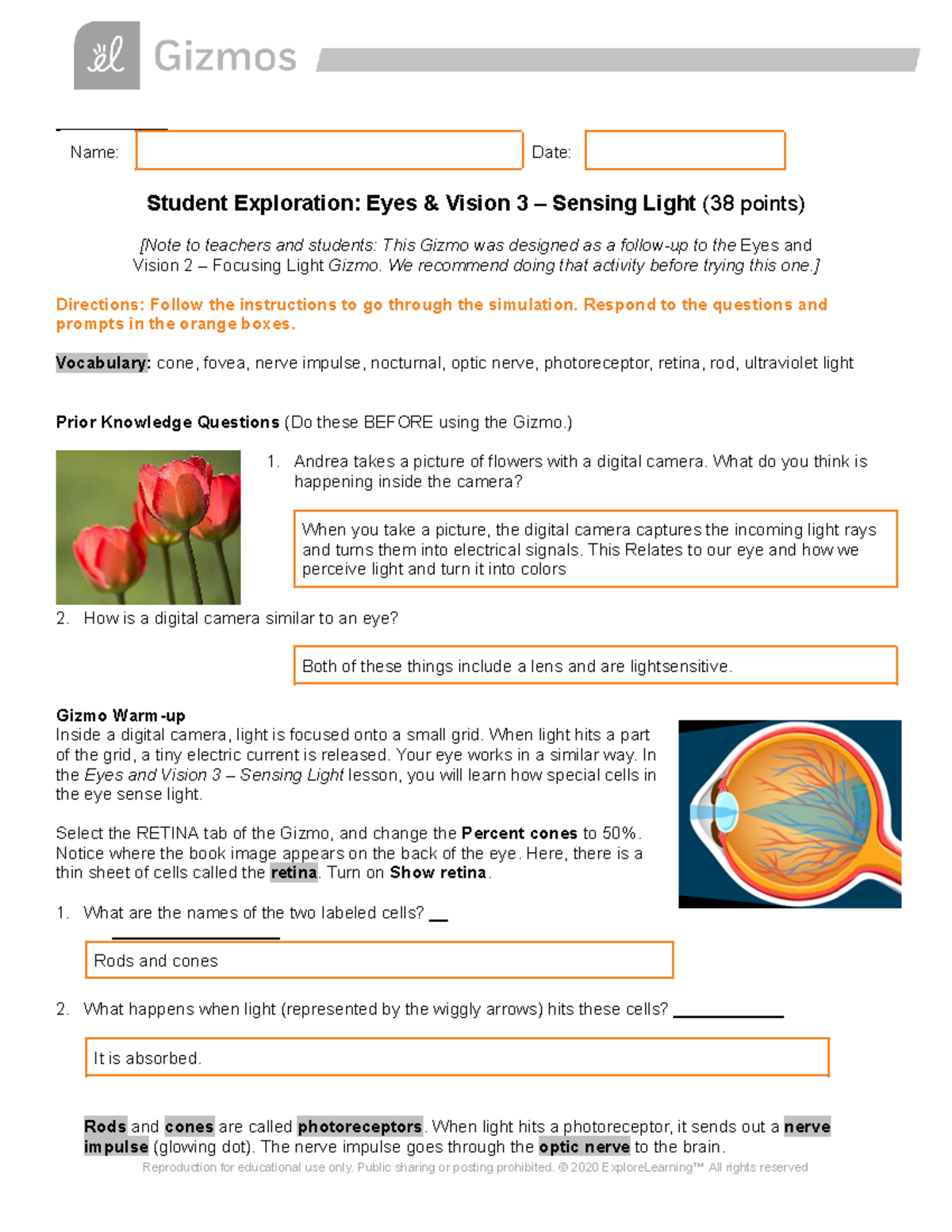 U7.L3 - Gizmo Activity: Exploring Eyes & Vision 3 - Sensing Light - Studocu
