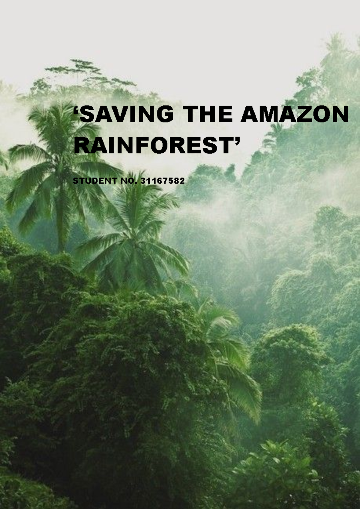 Band6 MDP Proposal: Saving the Amazon Rainforest Folio - Studocu