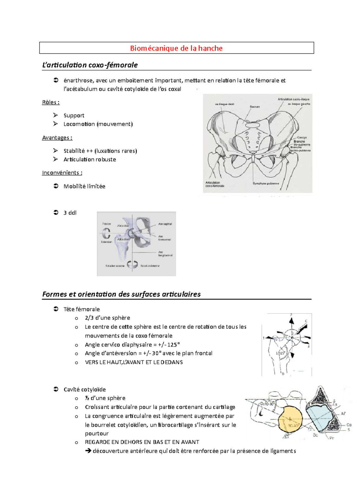 Biomécanique de la hanche - Biomécanique de la hanche L’articulation ...