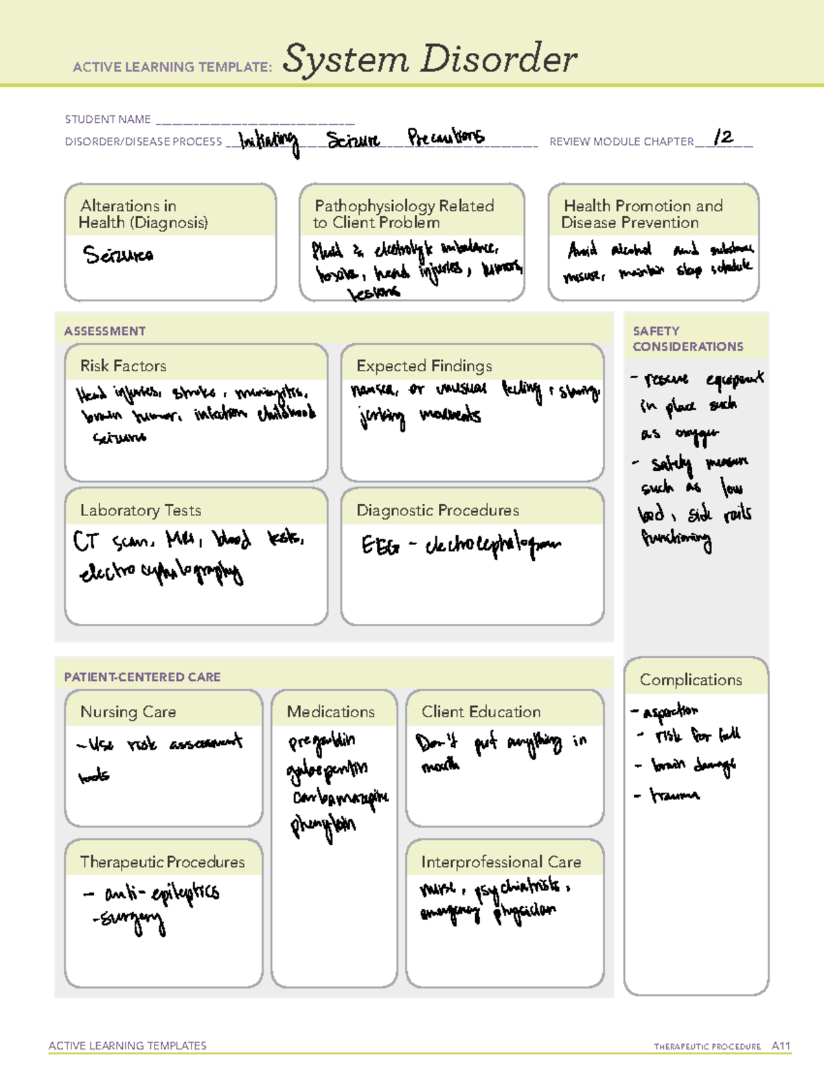 Seizure Precautions System Disorder - ACTIVE LEARNING TEMPLATES ...