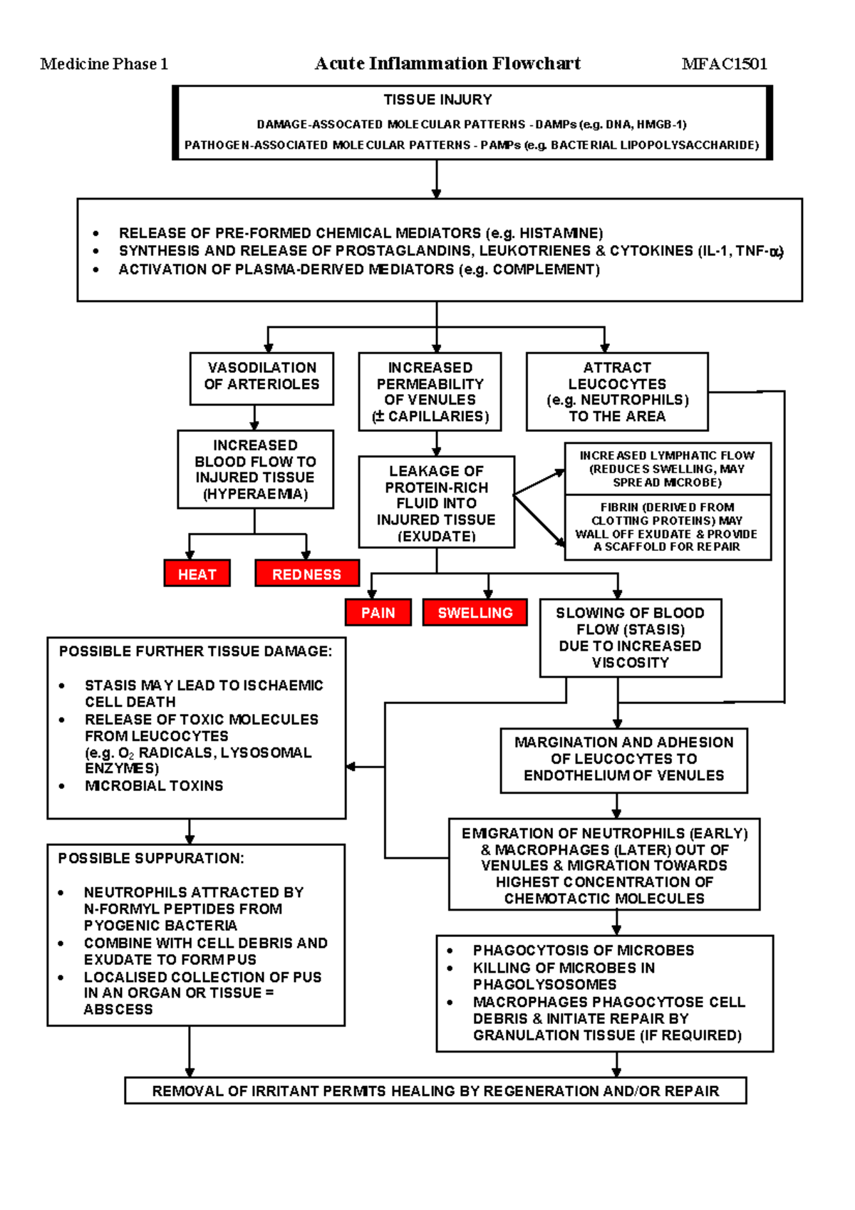 Acute Inflammation Flowchart Overview for Medicine MFAC150 1 - Studocu