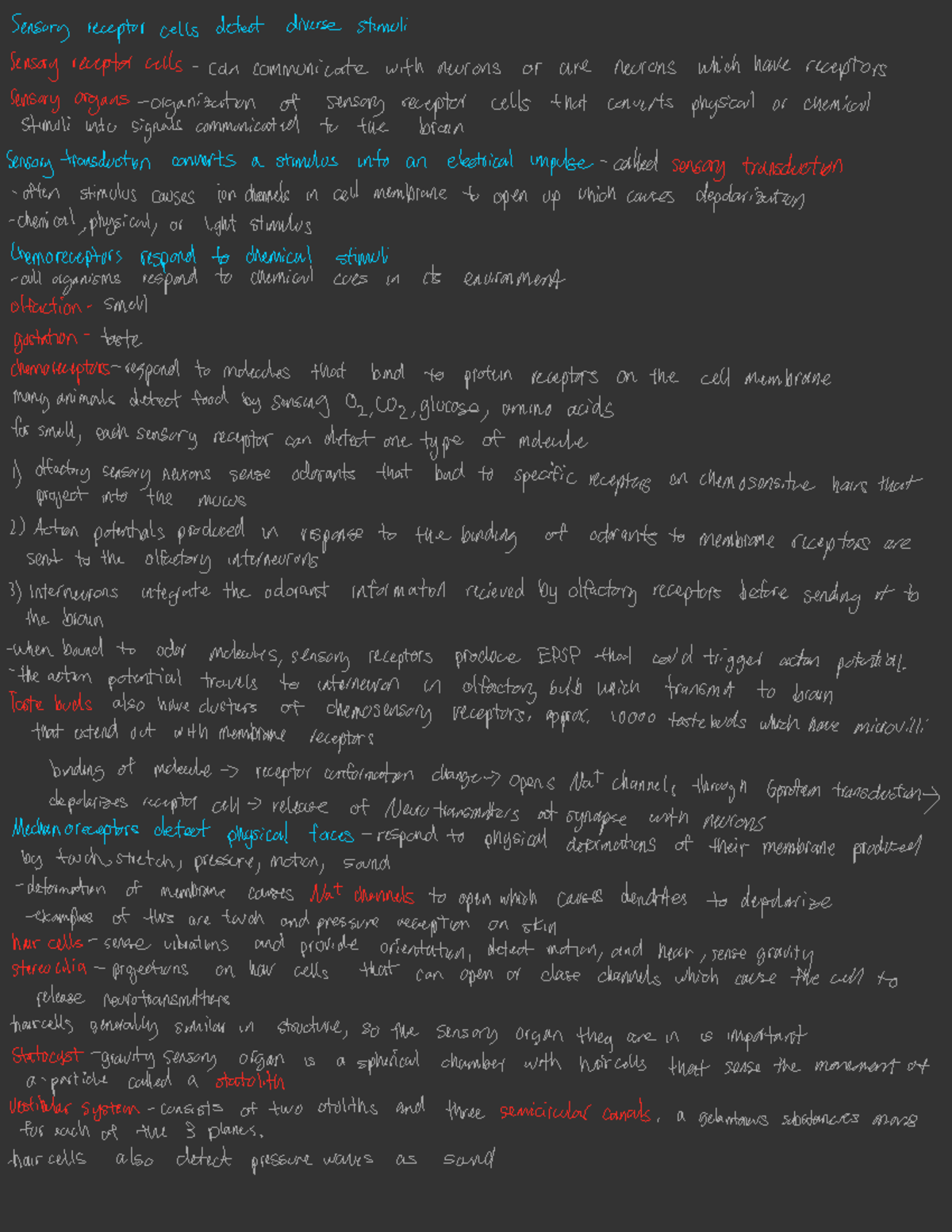 Sensory Systems - sensory receptor cells defect diverse stimul; sensory ...