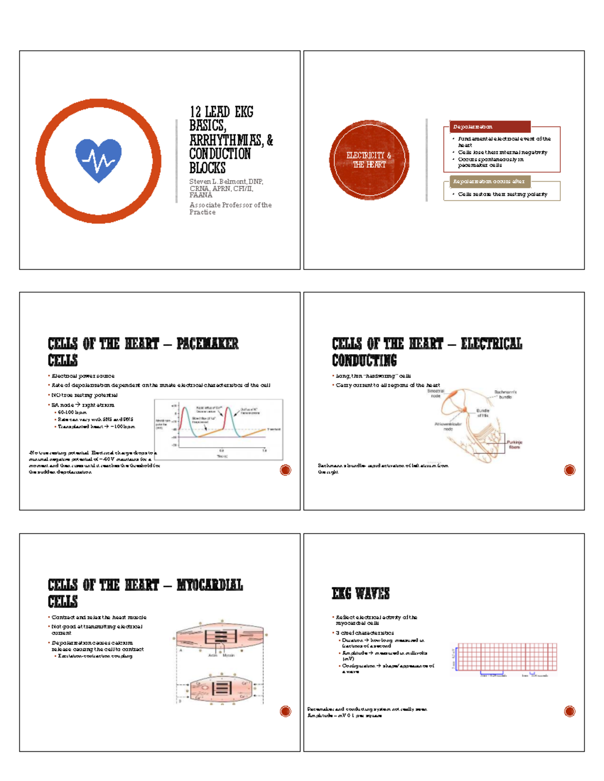 12-Lead EKG Basics: Arrhythmias & Conduction Blocks Overview - Studocu