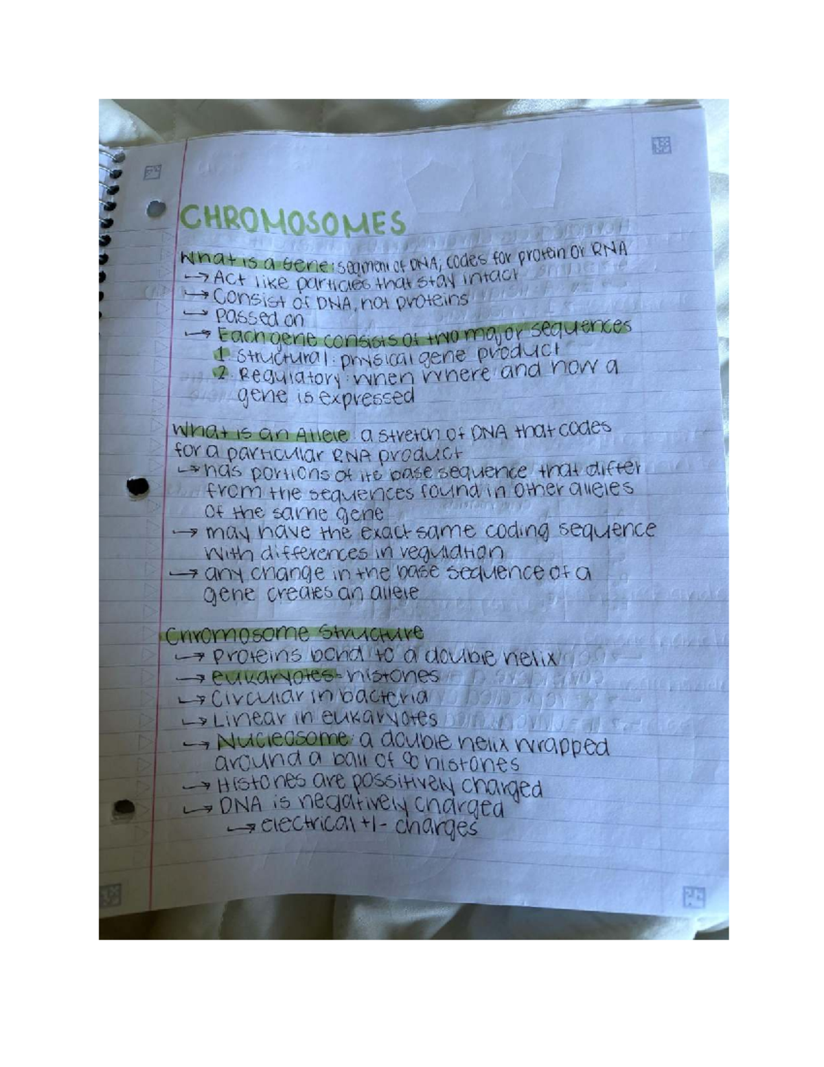 Bio Unit 3 - Part 1: Chromosomes, Genes, and Alleles Overview - Studocu