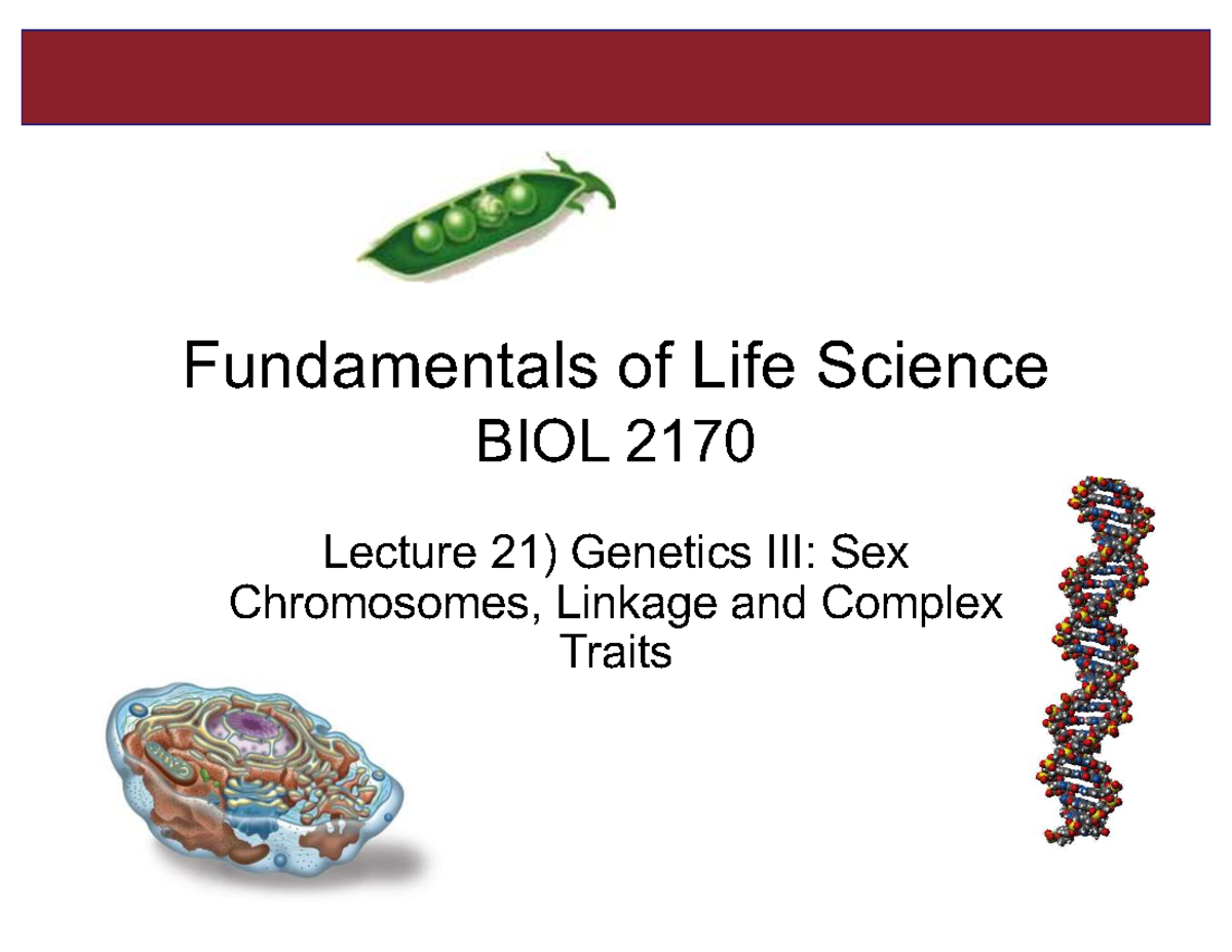 BIOL 2170 Lecture 21: Genetics III - Sex Chromosomes and Traits - Studocu