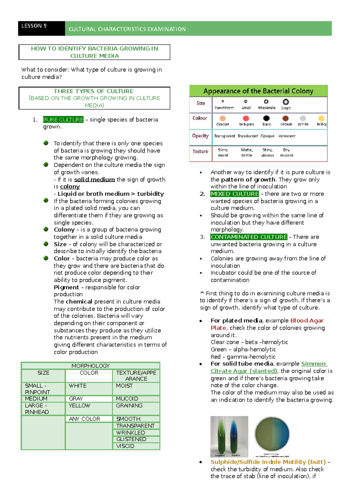 Lesson 9: Examination of Cultural Characteristics in Bacteria - Studocu