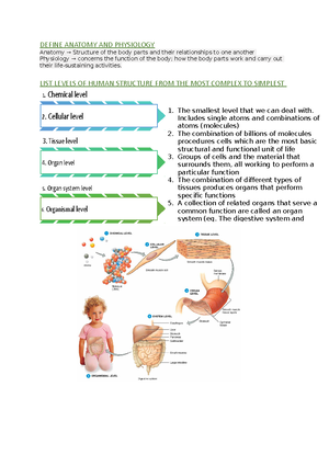 [Solved] Explain the underlying pathophysiology of a postoperative ...