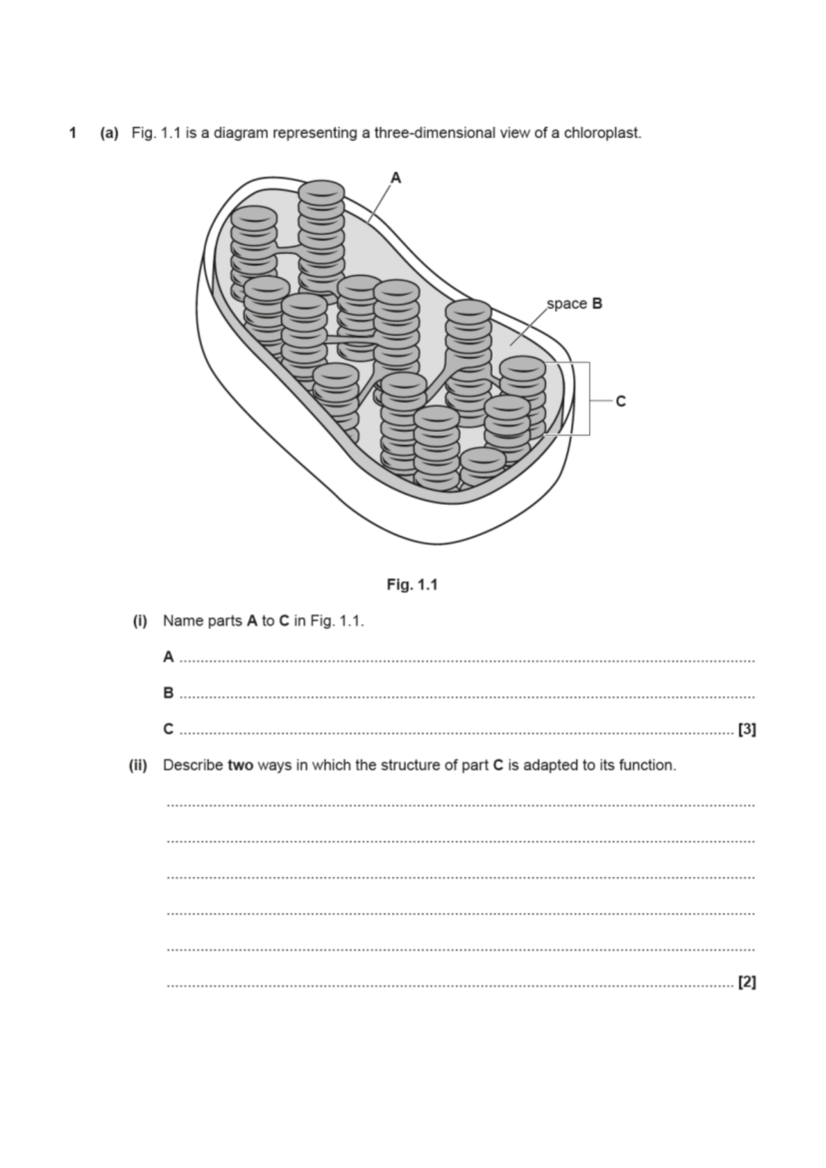 Photosynthesis 1 QP - QP PHOTO - (d) Plants are autotrophs. Most other ...