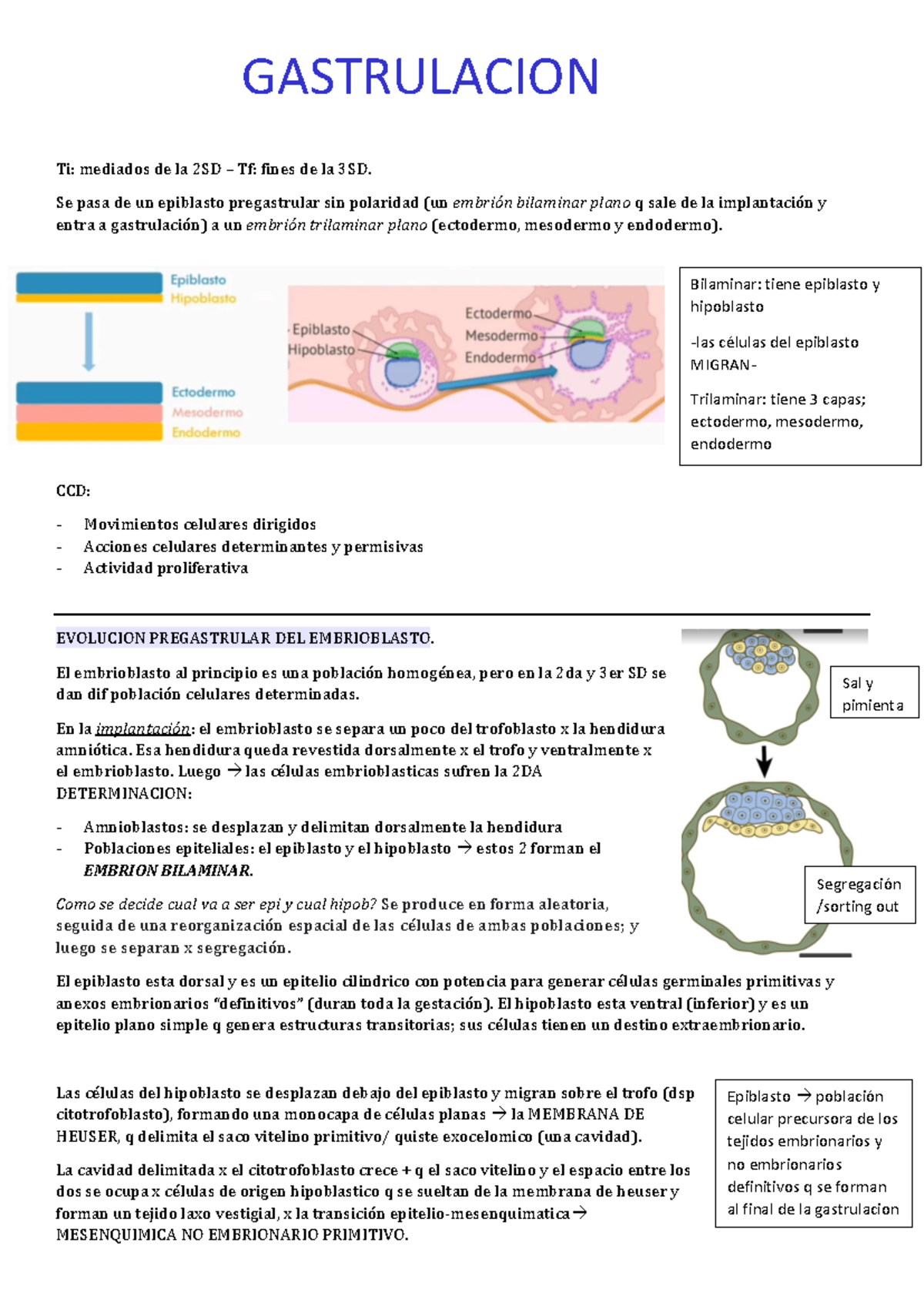 Gastrulacion. Embriologia tp3 - Ti: mediados de la 2SD – Tf: fines de ...
