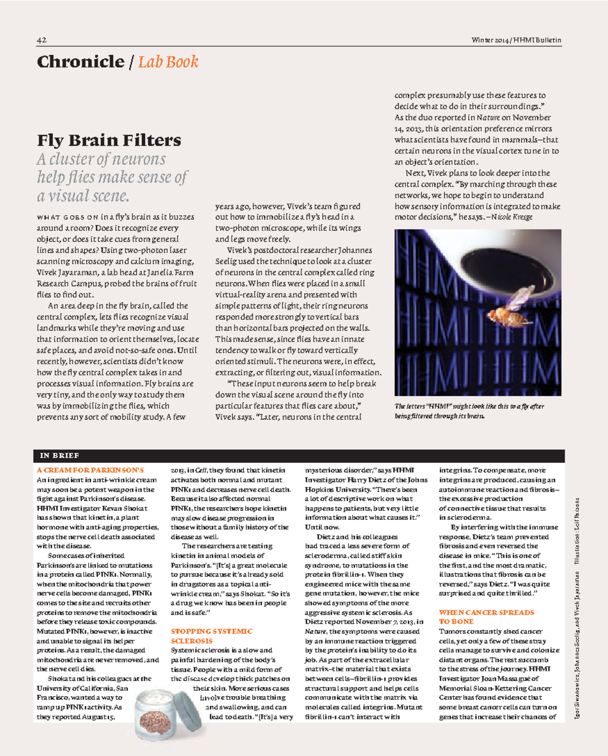 Fly brain filters hhmi bulletin winter 2014 - 42 Winter 2014 / HHMI ...