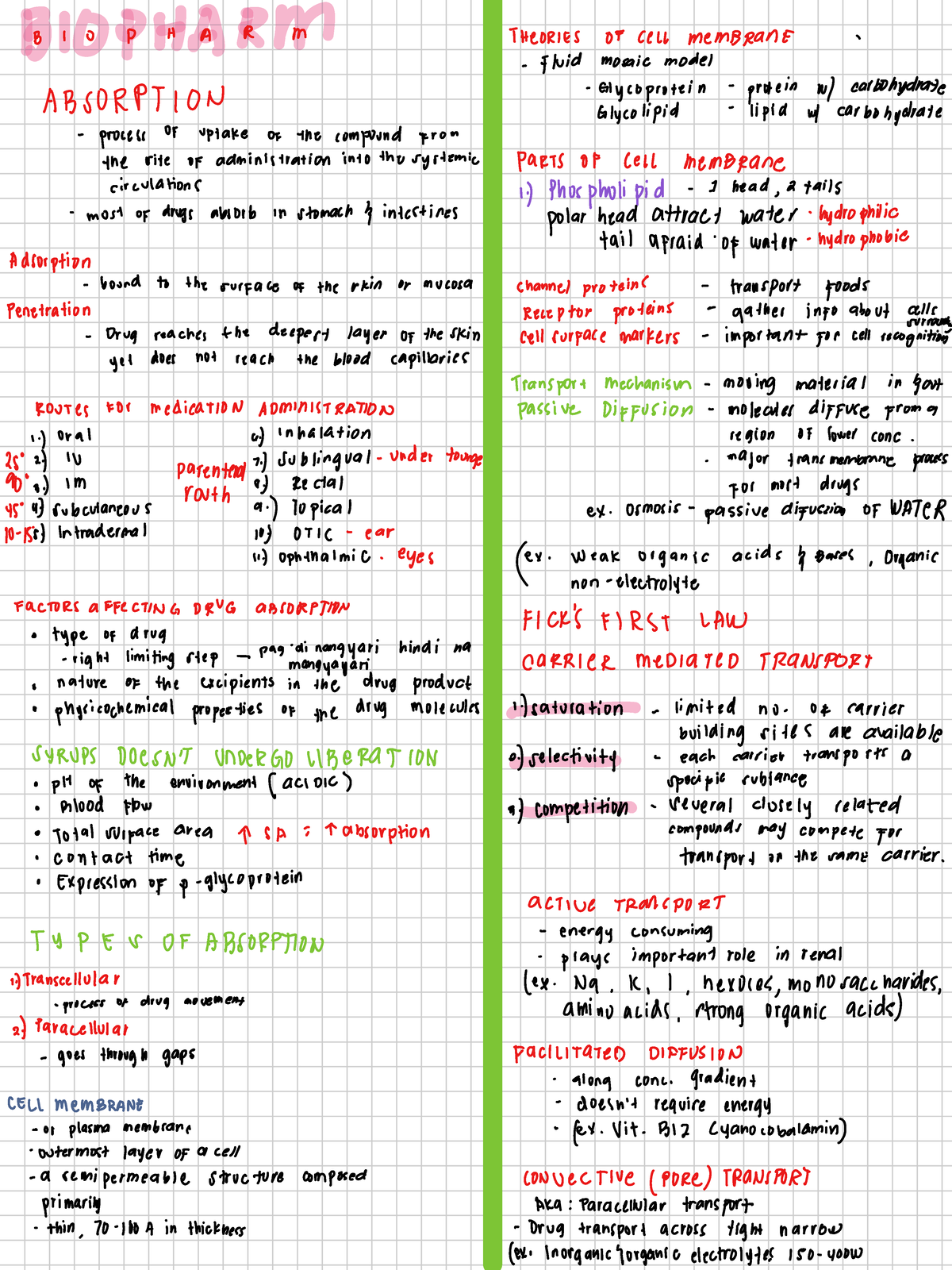 Absorption Mechanisms in Pharmacokinetics (BIOPHARM 101) - Studocu