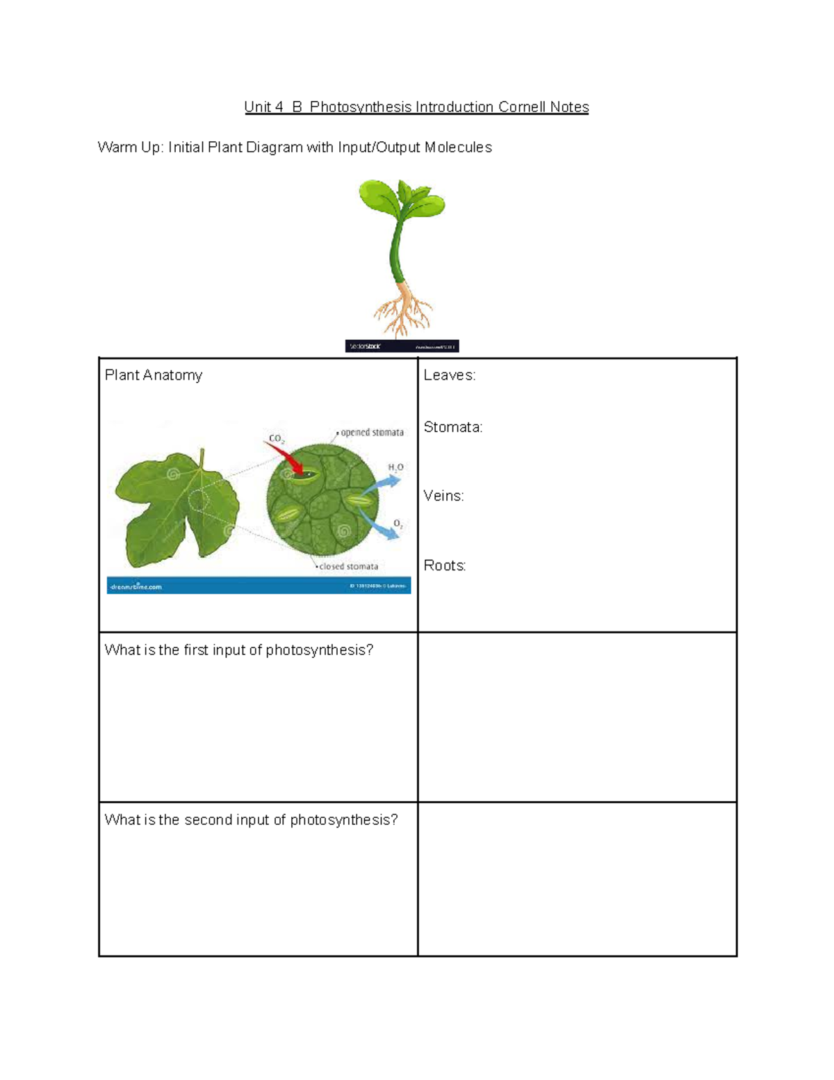 Unit 4_B: Introduction to Photosynthesis - Cornell Notes - BIOL 300 ...