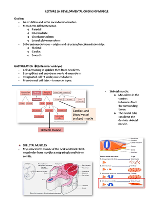 Lab report 3 AI use acknowledgement statement - Lab report 3 ...
