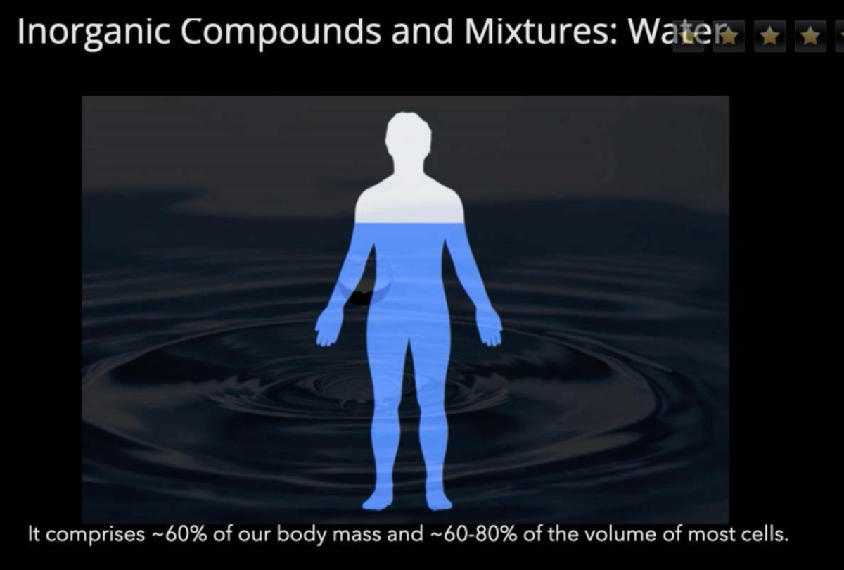 Inorganic Compounds & Mixtures: The Role of Water in the Body - Studocu