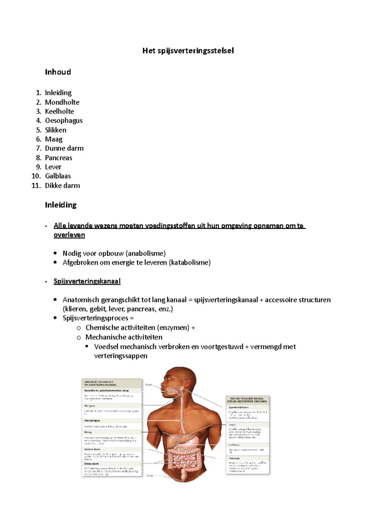 Het spijsverteringsstelsel - Het spijsverteringsstelsel Inhoud 1. 2. 3 ...