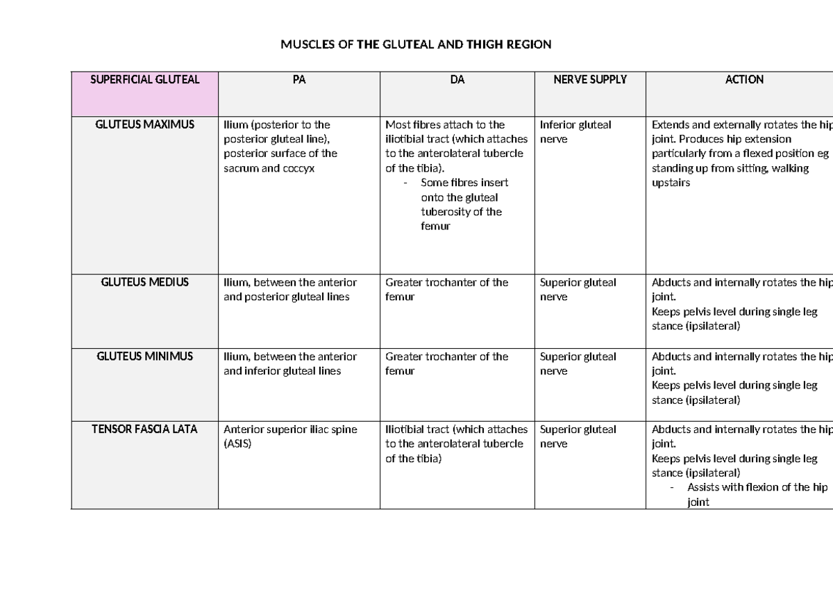 MUSC 101: Gluteal and Thigh Muscles - Summary of Actions and Nerve ...