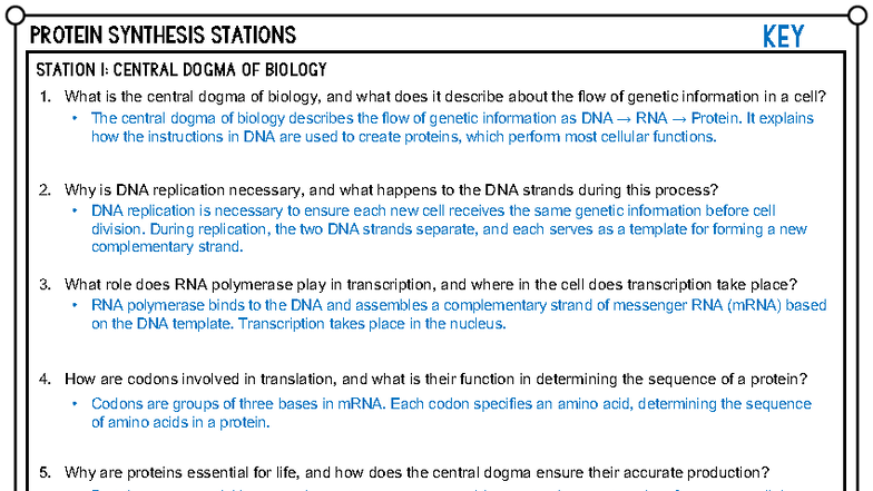Protein Synthesis Review Stations: Key Concepts & Processes - Studocu