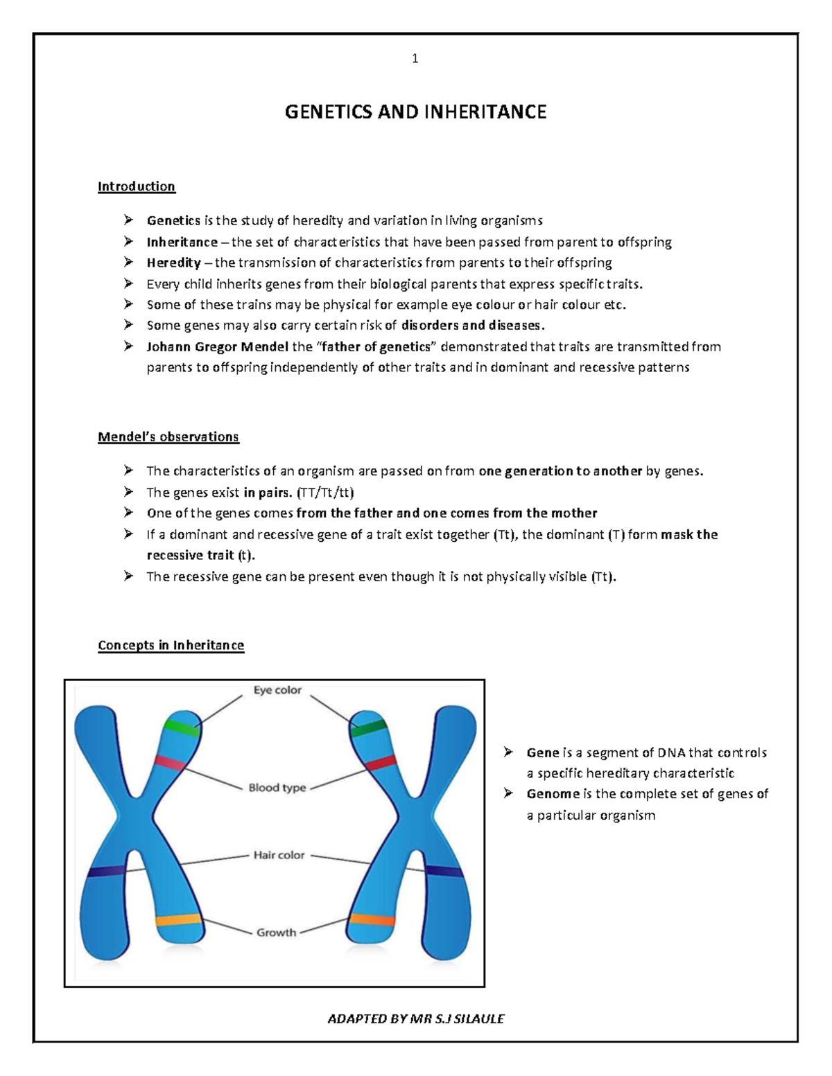 Grade 12 Genetics Notes - Comprehensive Summary on Inheritance - Studocu