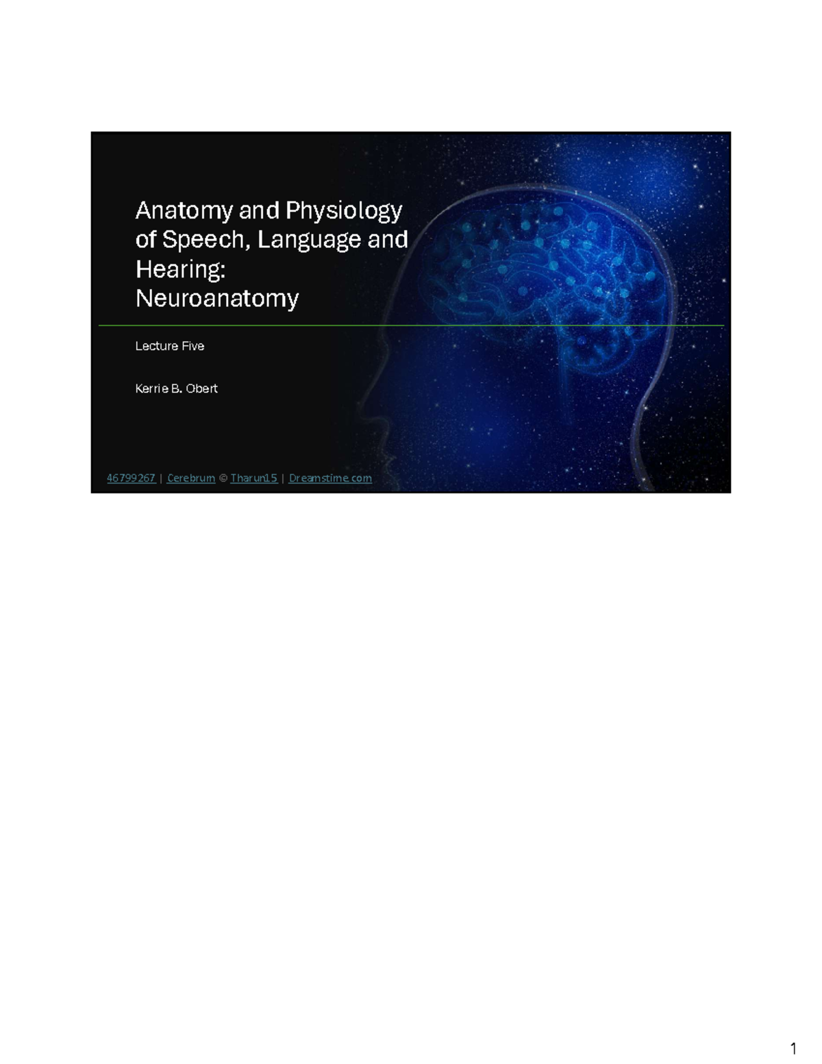 Lecture 5: Neuroanatomy in Anatomy & Physiology of Speech (46799267 ...