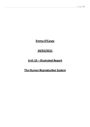 2 hour time plan -blank - Time plan - GCSE FOOD AND NUTR I TION NEA ...
