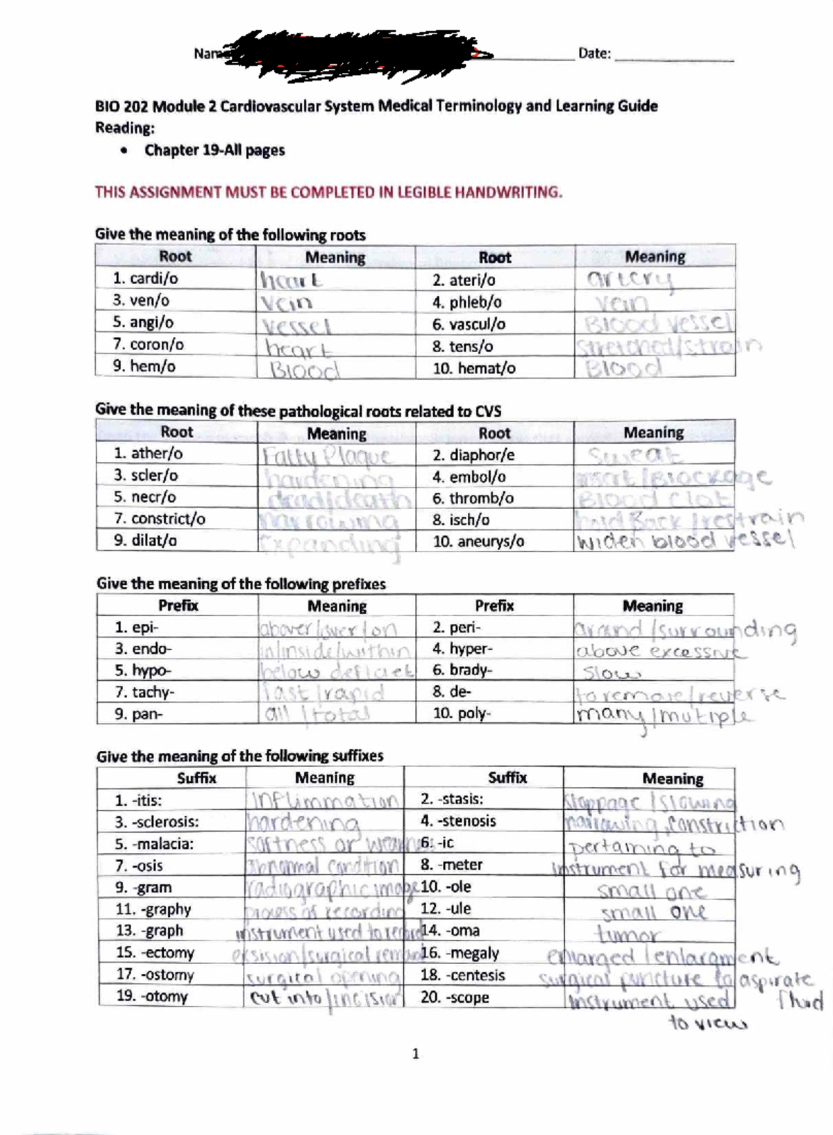 BIO 202 Module 2 Cardiovascular System Medical Terminology Guide - Studocu