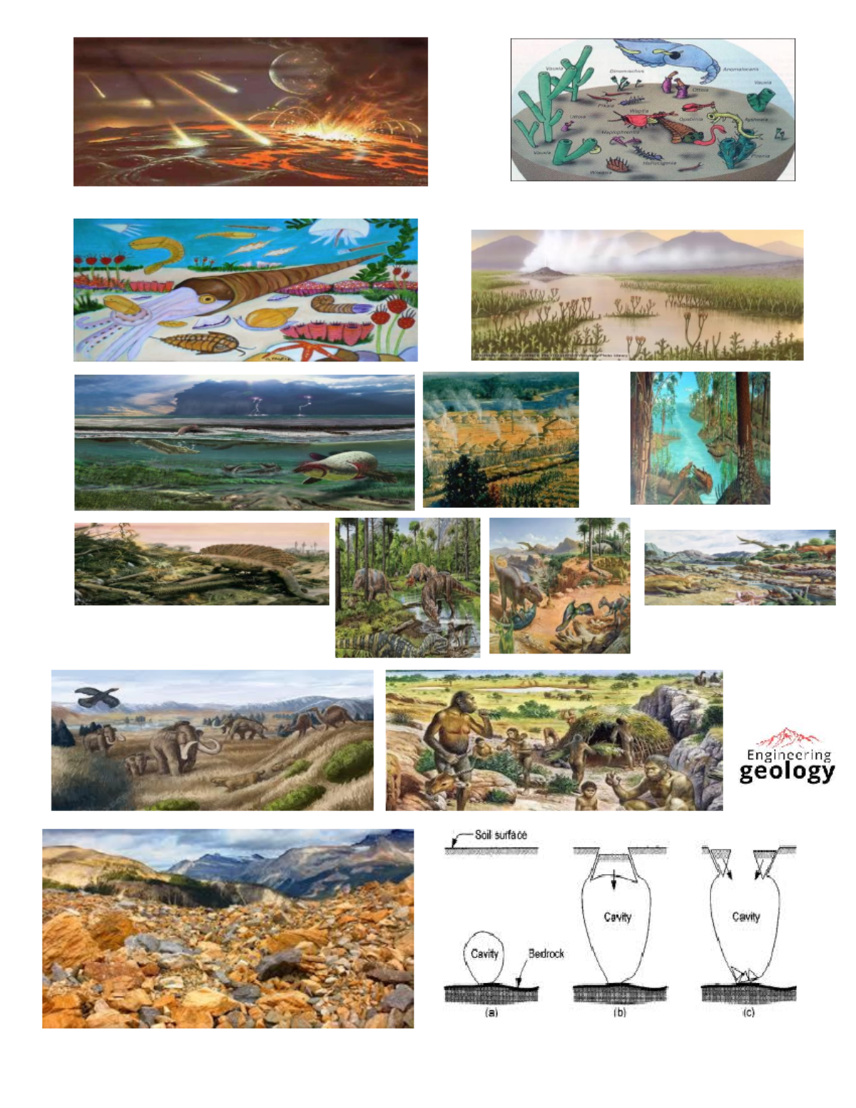 Geology Notebook: Plate Boundaries & Fossil Evidence (GEOL 101) - Studocu