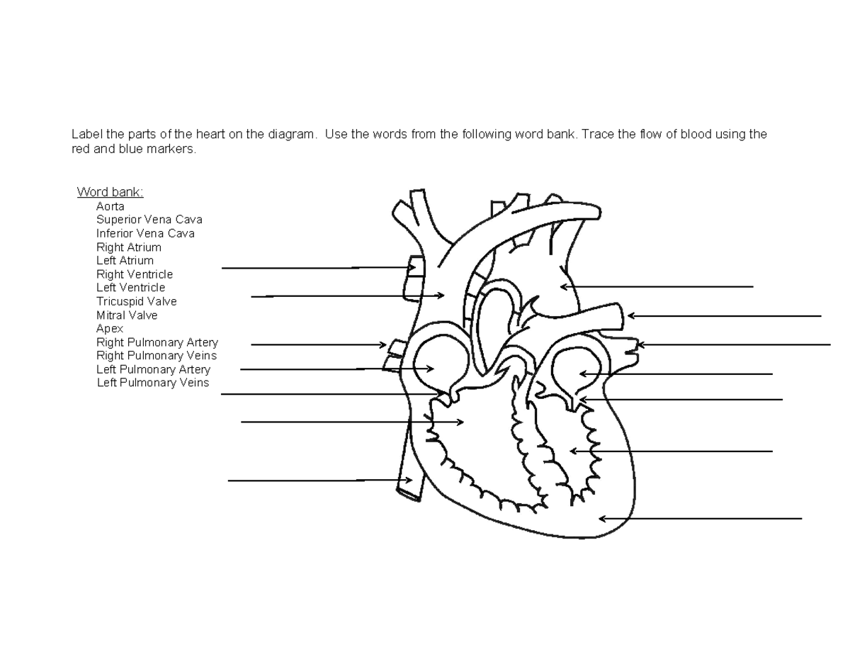 Heart diagram student worksheet - NUR 111 - Label the parts of the ...