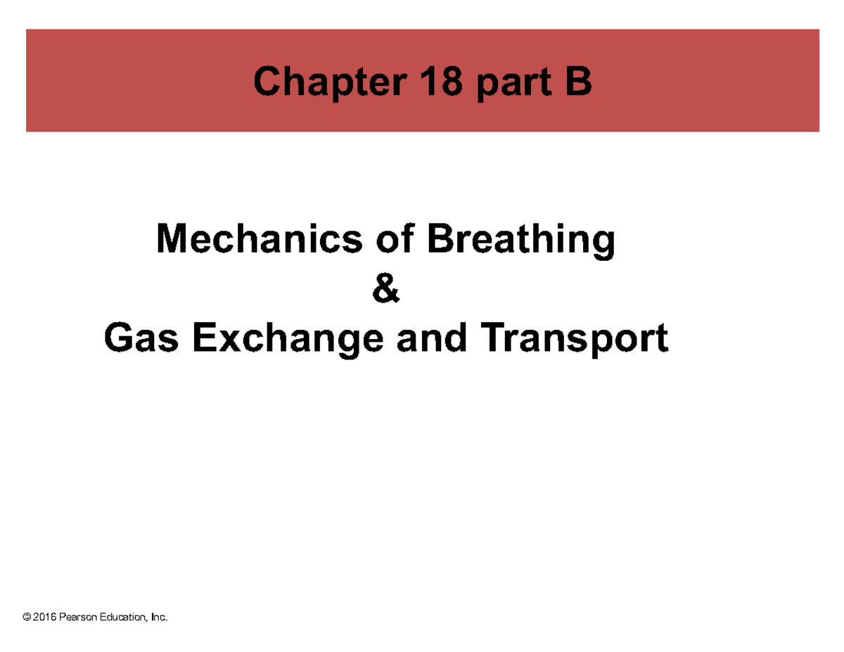 Mechanics of Breathing & Gas Exchange: Chapter 18 Lecture Notes - Studocu