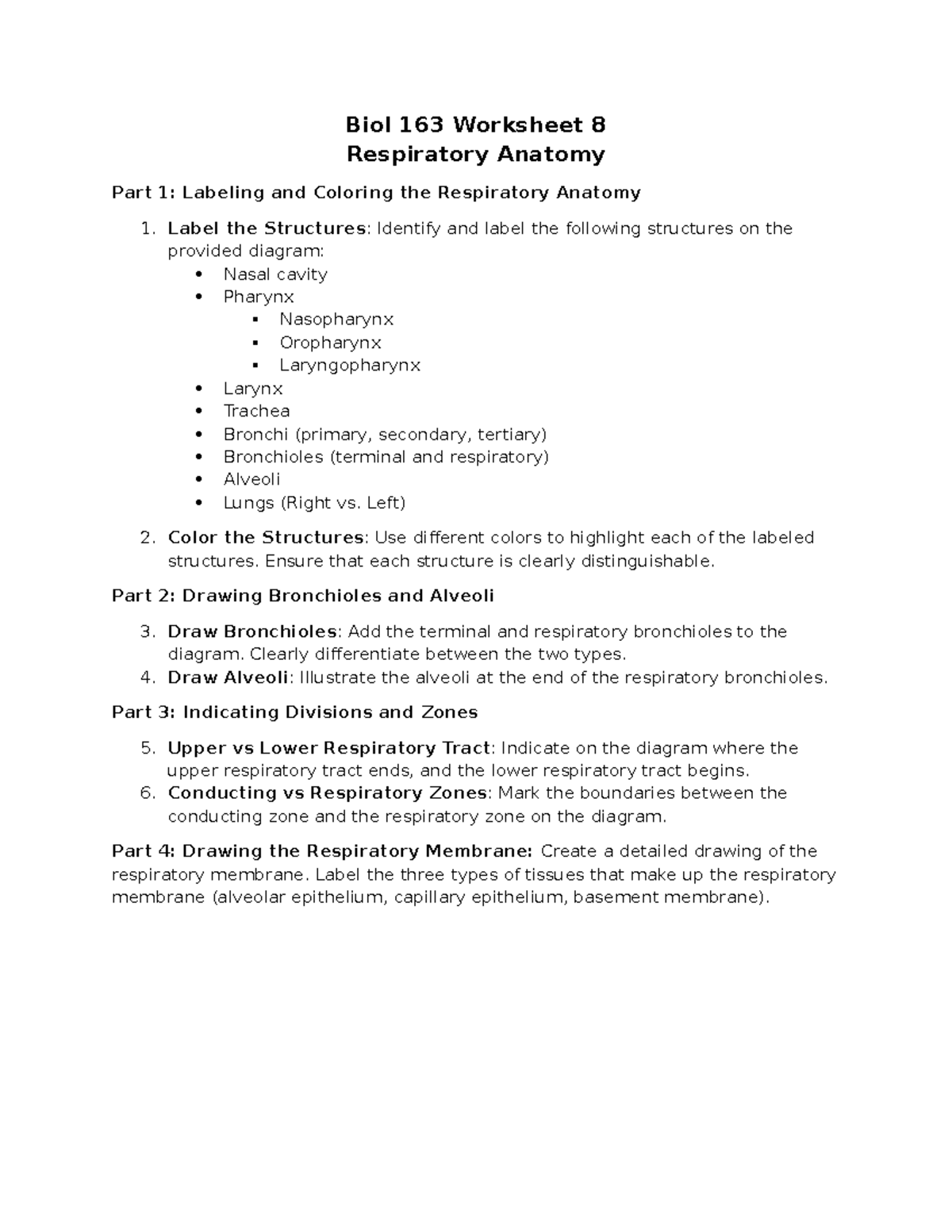 Biol 163 Worksheet 8: Respiratory Anatomy Labeling & Drawing Tasks ...