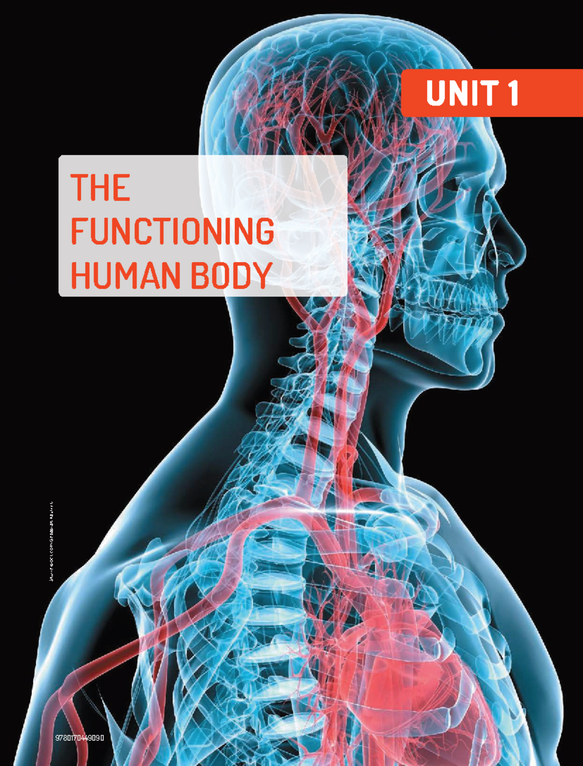 Investigating Human Biology - Unit 1 Overview - Studocu