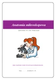 Anatomia brzucha 1: Struktura ściany jamy brzusznej i podział okolic ...