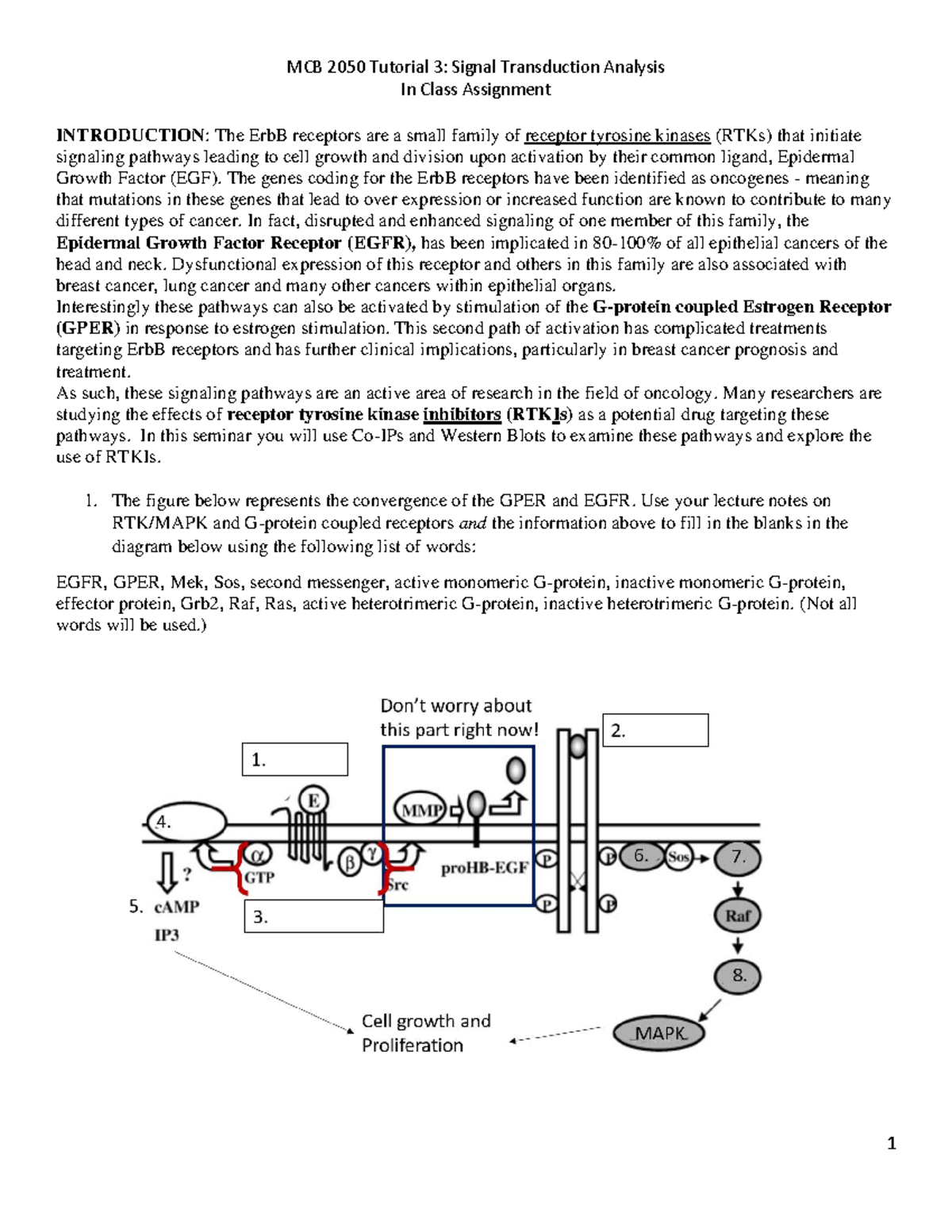 MCB 2050 Tutorial 3: Signal Transduction Analysis & Western Blot Insights - Studocu