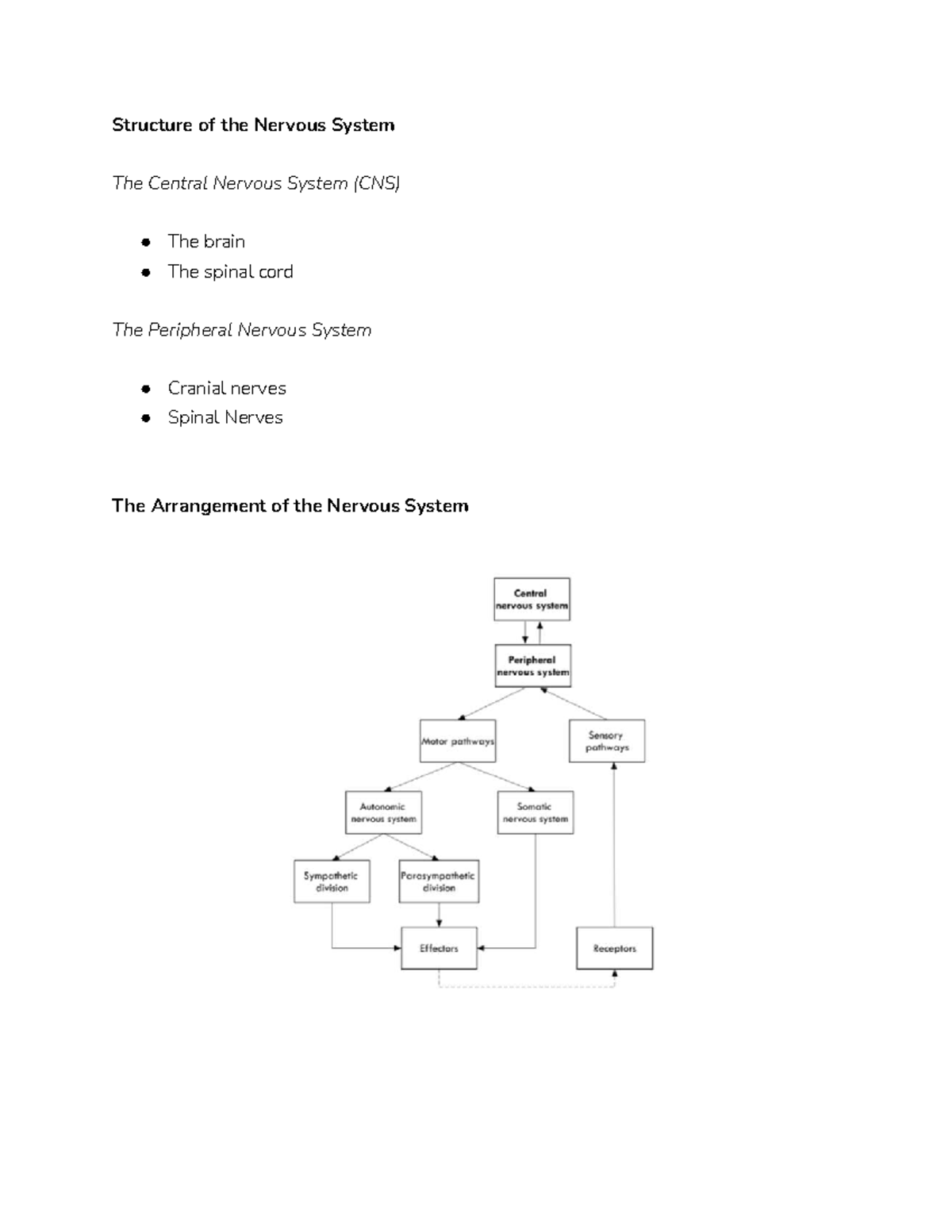 Nervous System Structure & Function: Content Notes for BIO101 - Studocu
