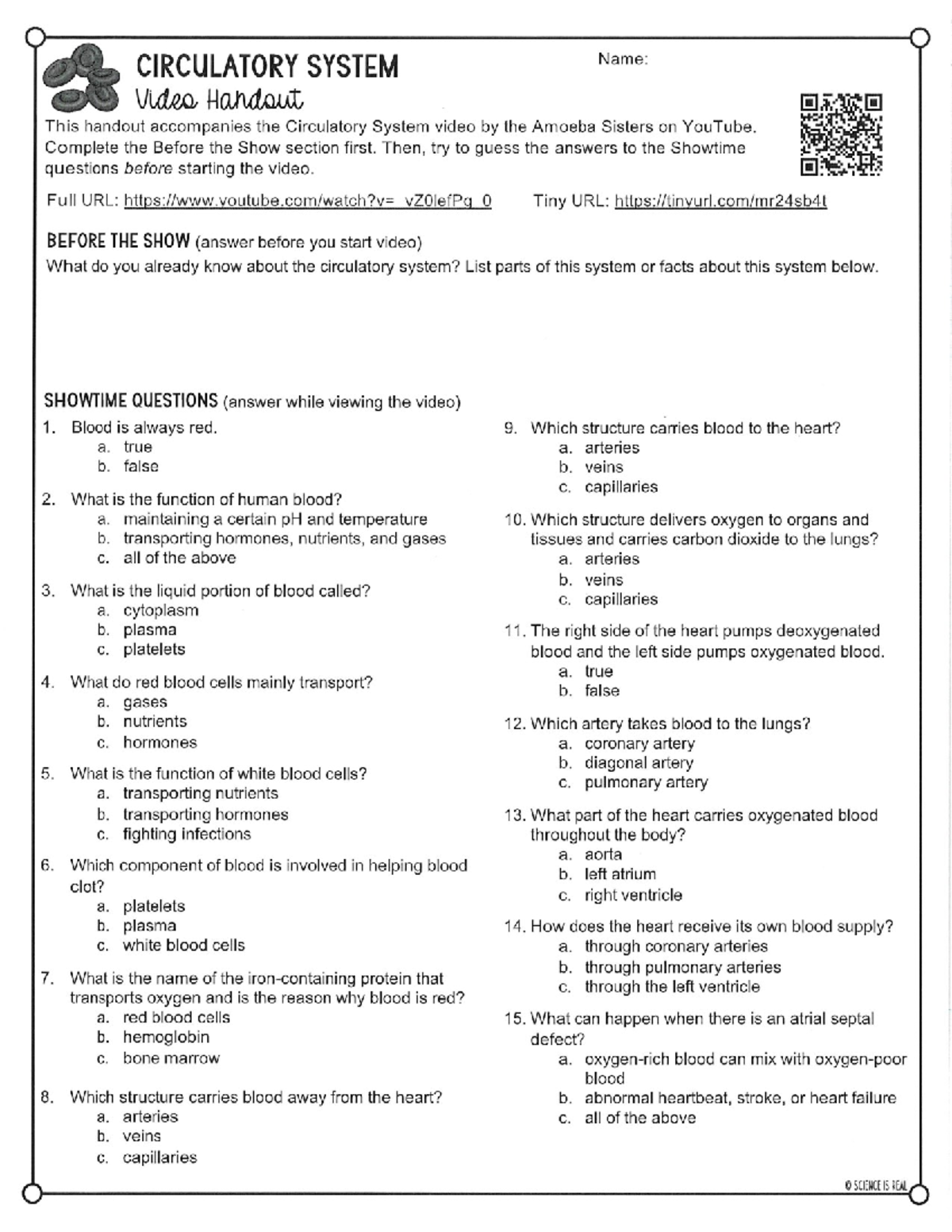 Amoeba Sisters: Circulatory System Video Handout - Studocu