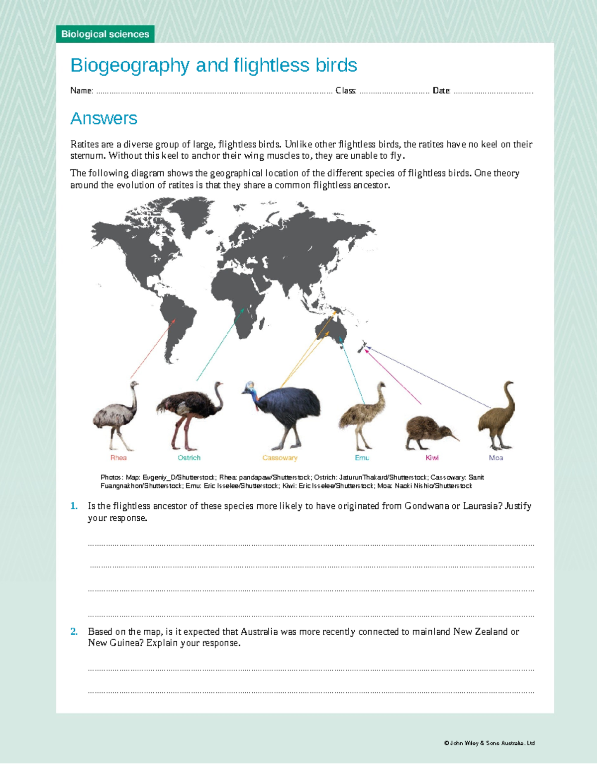 Ewbk-12133: Biogeography of Flightless Birds - Ratites Study Guide ...