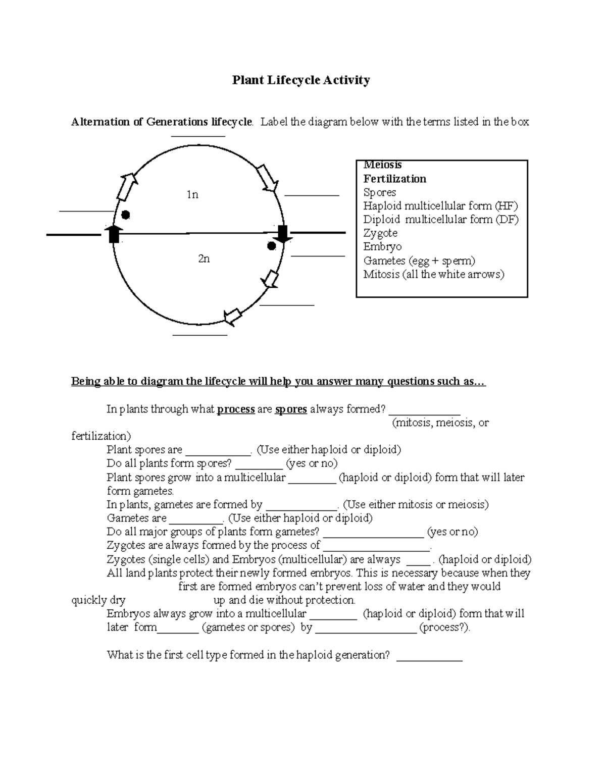 BIO 102 Plant Lifecycle - Plant Lifecycle Activity Alternation of ...