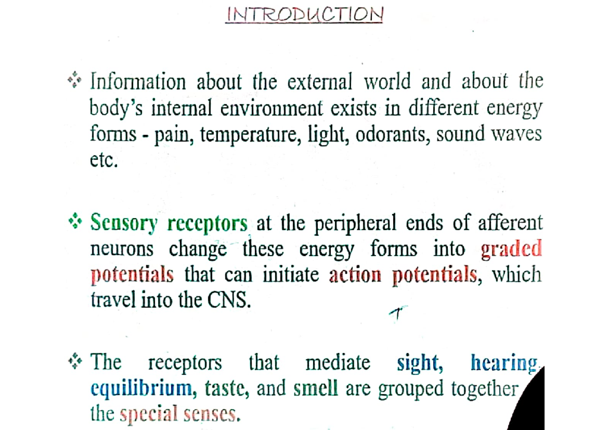 Special Senses I - Vision and Eye Anatomy Notes - Studocu