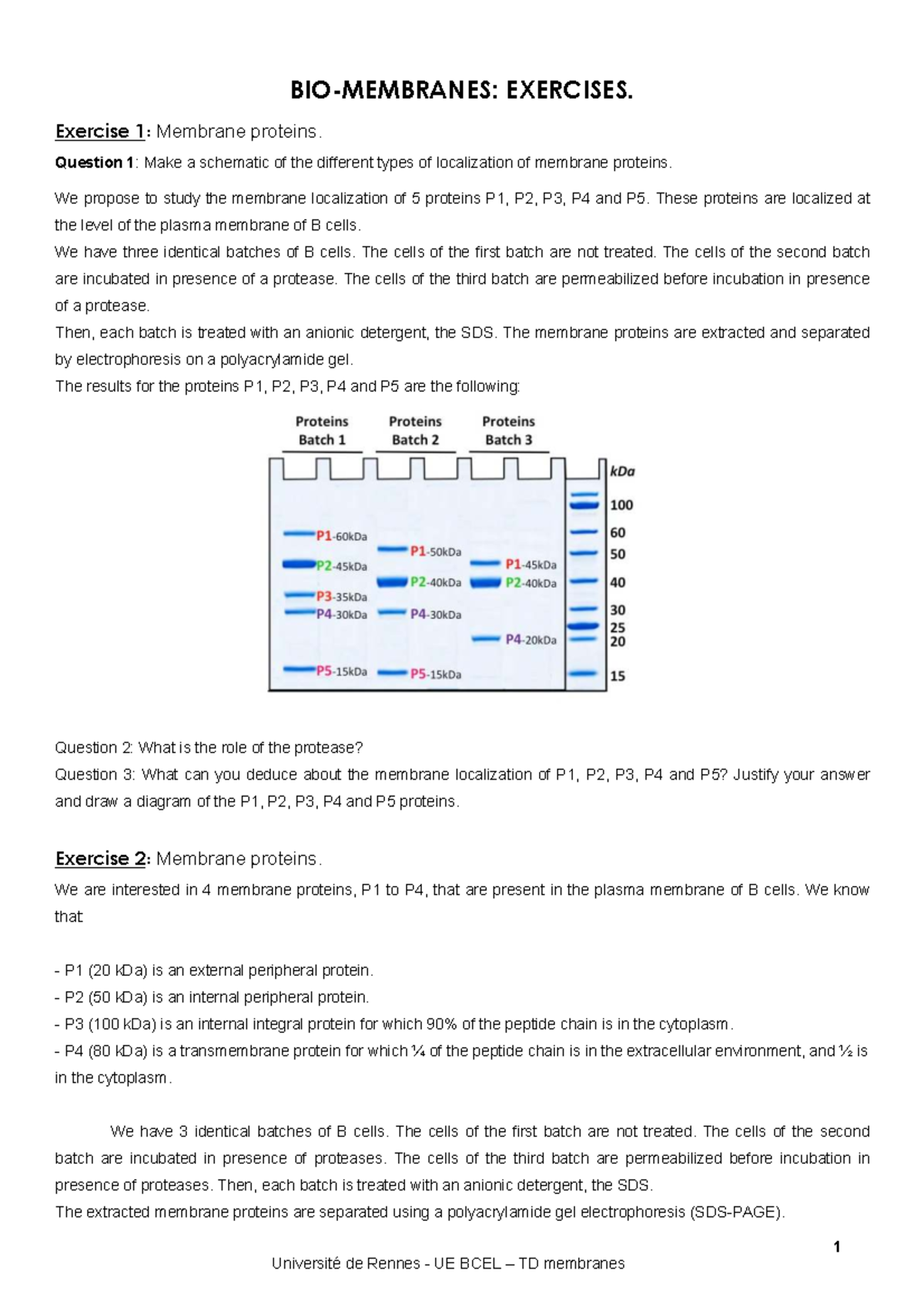 Exercises on Membrane Proteins and Transport Mechanisms - UE BCEL TD ...