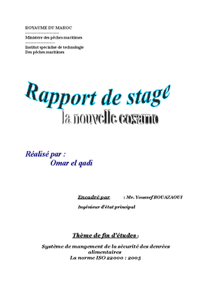 Rapport de stage S8 ACG - Option : audit et contrôle de gestion Rapport de stage de ...