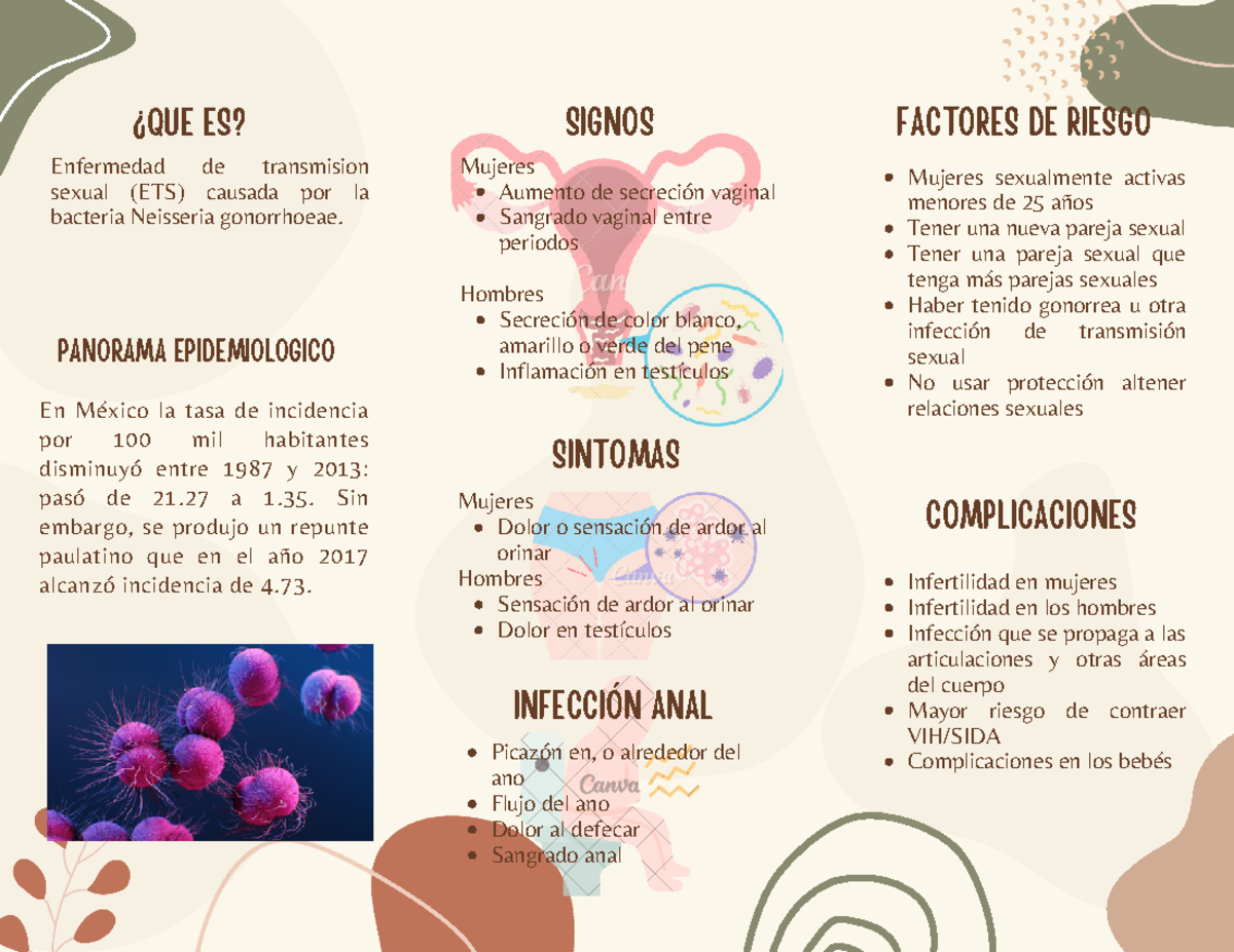 Estudio sobre Gonorrea: Epidemiología, Signos y Prevención - Studocu