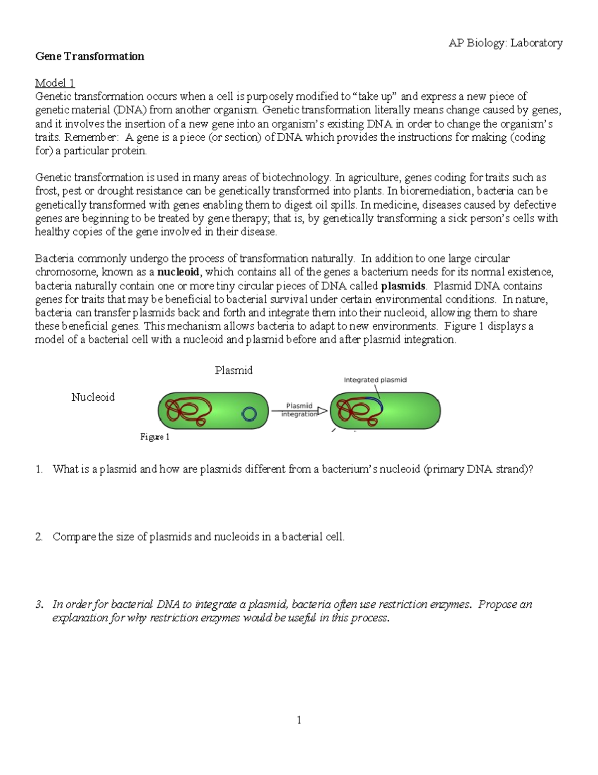 Gene-transformation - Gene Transformation Worksheet - Gene ...