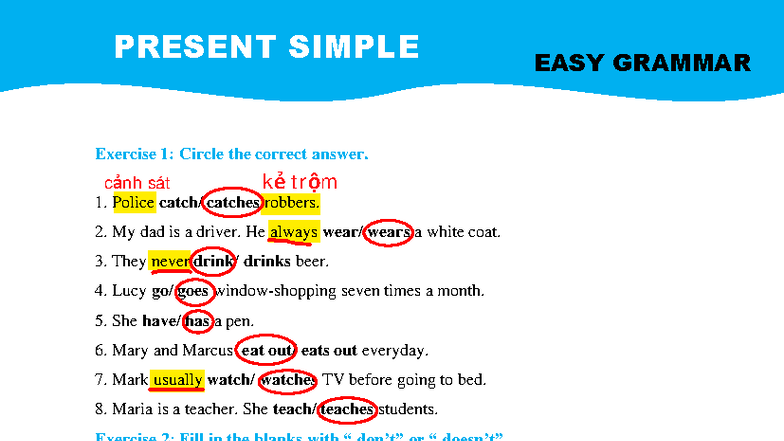 Present Simple - Grammar Worksheet (Exercise 1-5) - Studocu