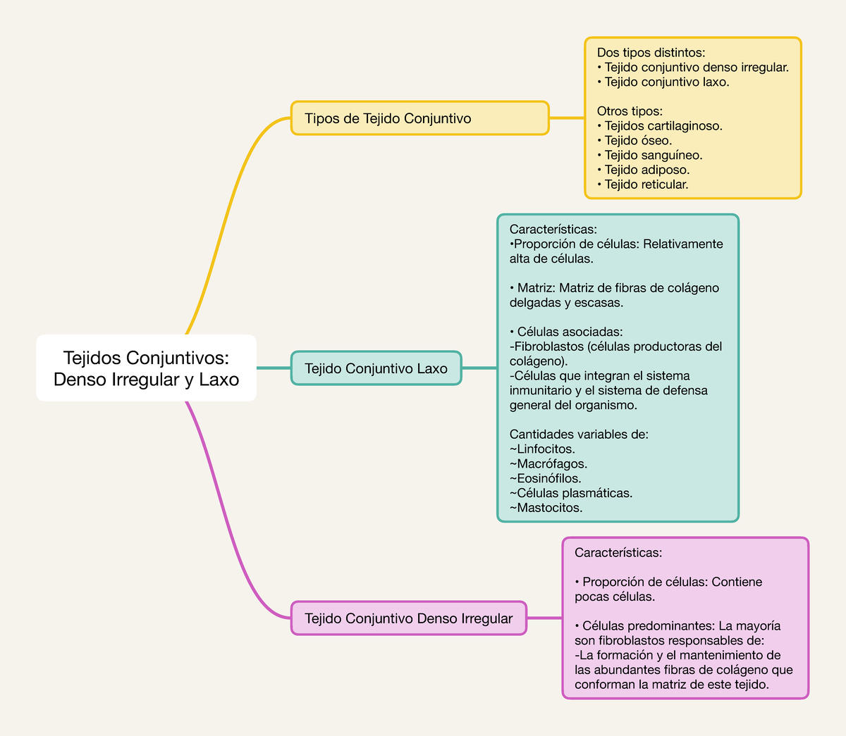 Tipos de Tejido Conjuntivo: Denso Irregular y Laxo - Studocu