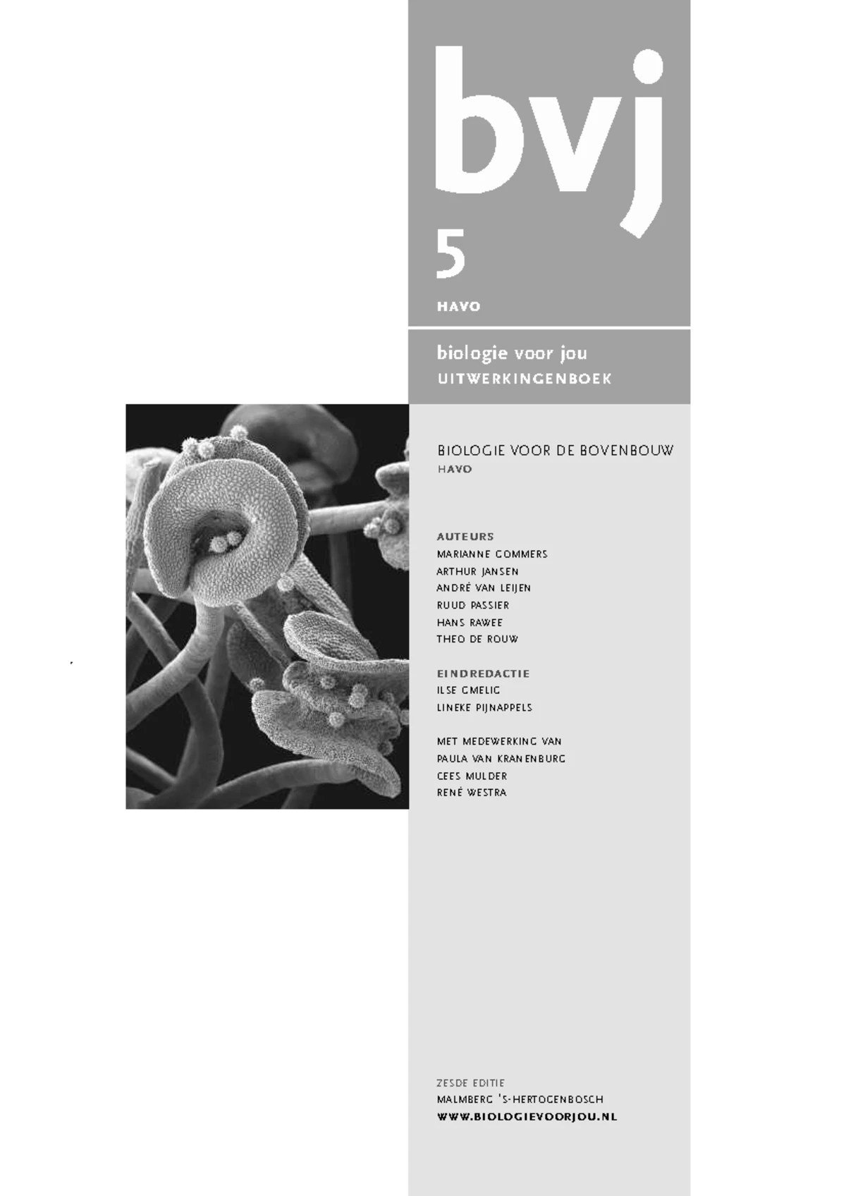 Bio Hoofdstuk 10: Voedingsstoffen en Hun Functies in Voeding en Vertering - Studeersnel