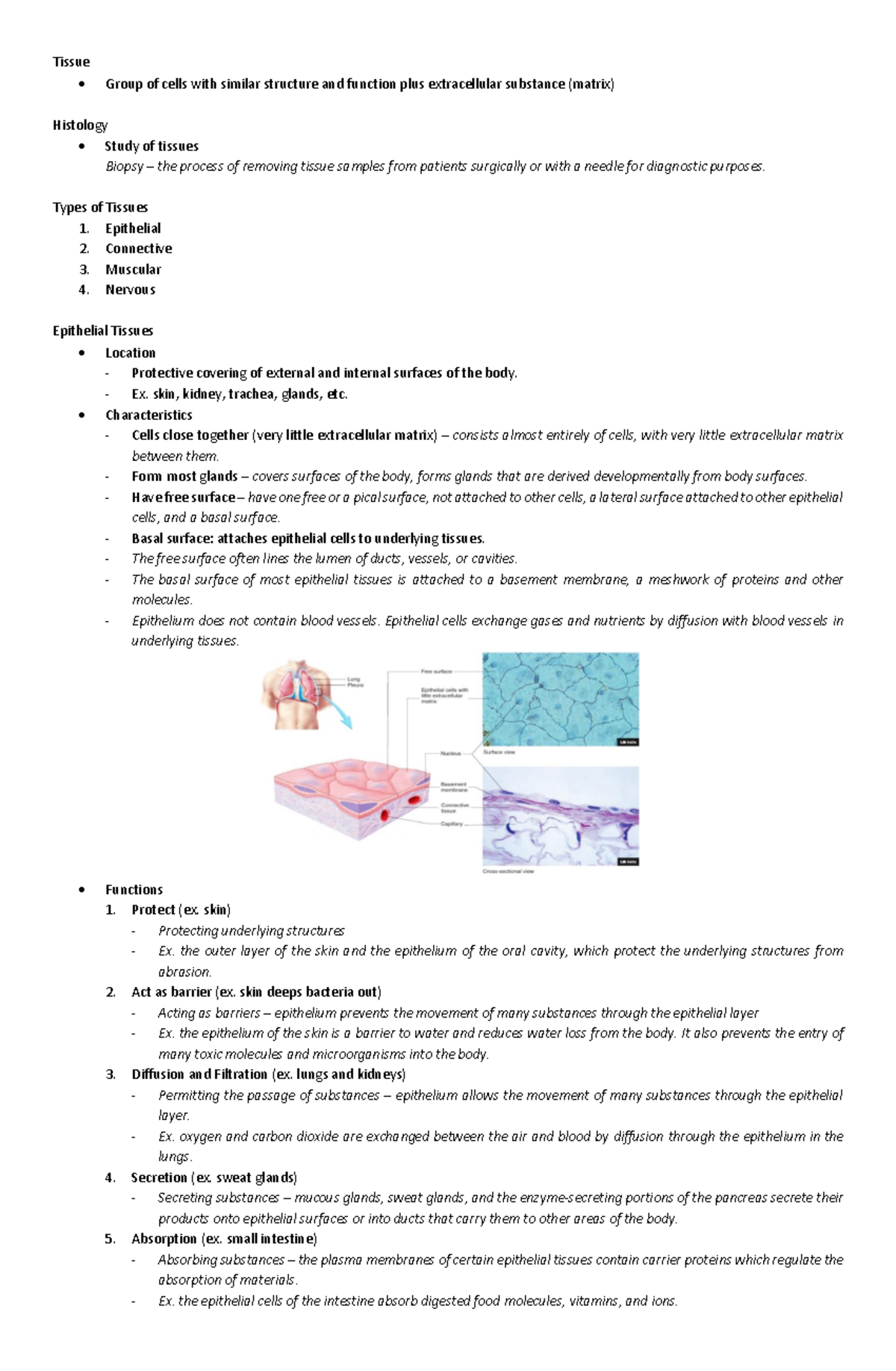 Anatomy & Histology 101: Tissue Types and Functions Overview - Studocu